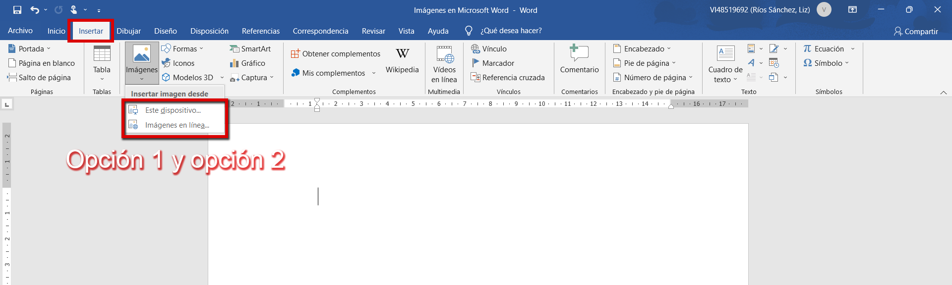 Capítulo 12: Imágenes en Microsoft Word
