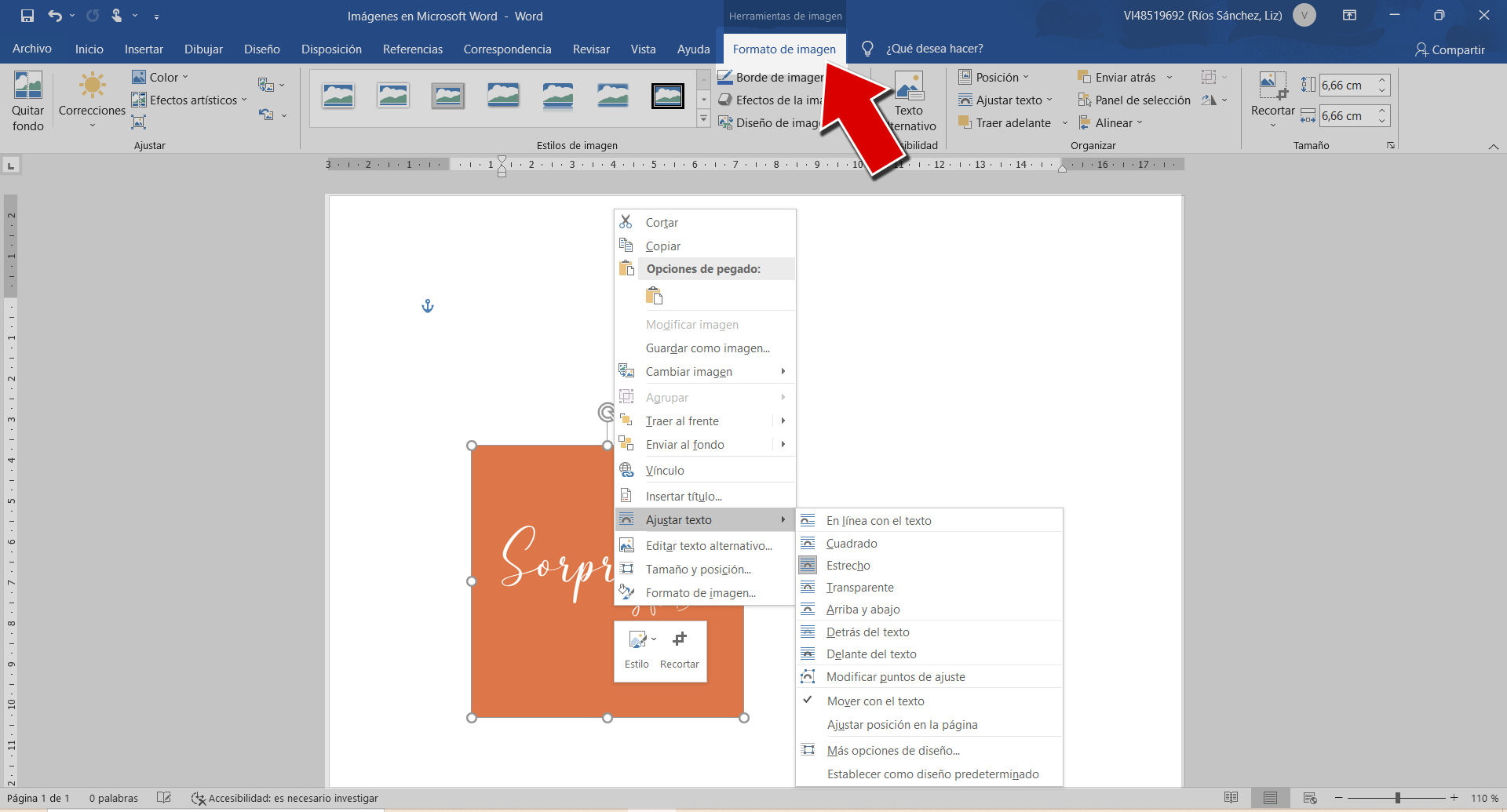 Capítulo 12: Imágenes en Microsoft Word